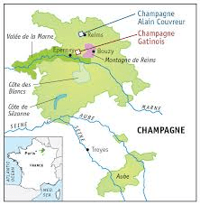 Tasting No 285 – January 29, 2026 Champagne | Club del Vino ...